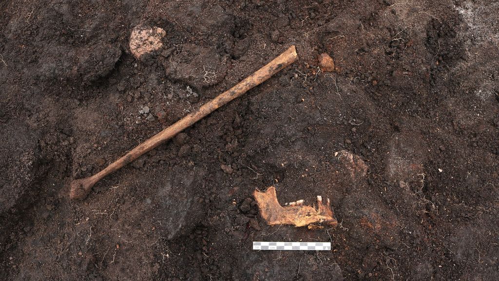 5,000-year-old 'bog body' found in Denmark may be a human sacrifice ...