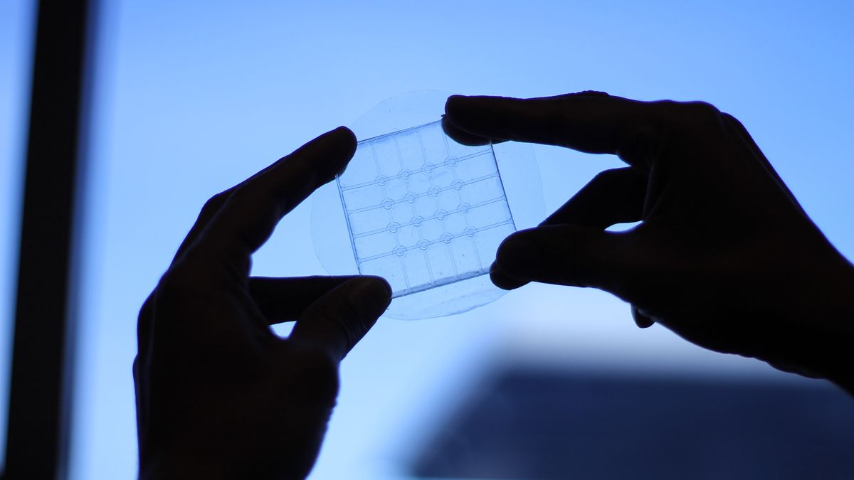 This flexible sensor could let us make foldable touchscreens | TechRadar