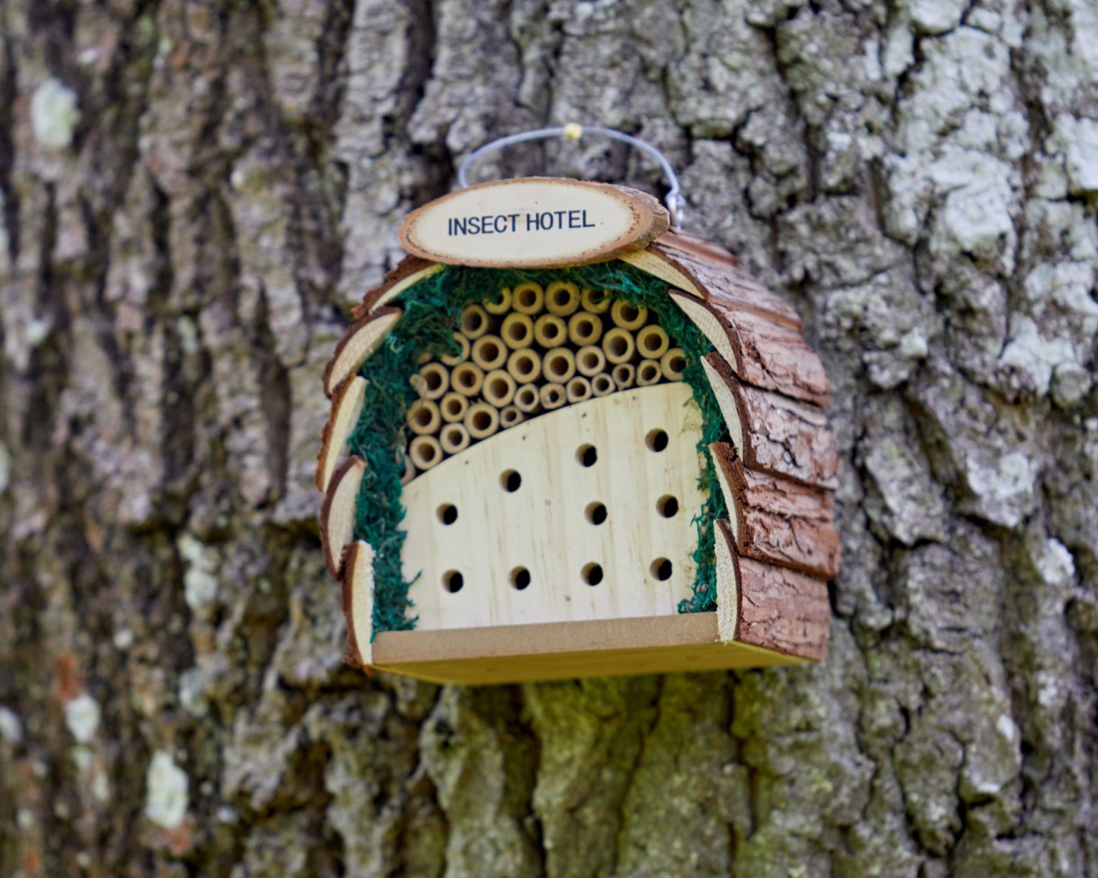 Bug hotel ideas: 15 ways to give insects the 5* treatment | Gardeningetc