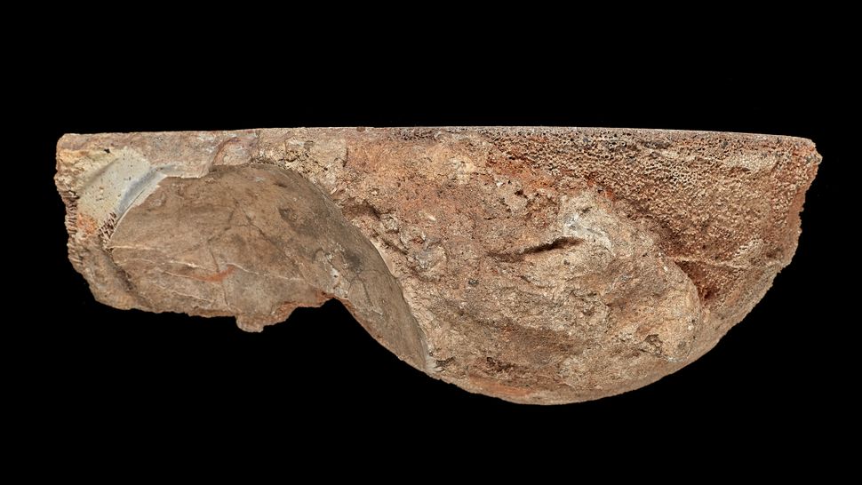 Ancient crystal-filled rock has been hiding dinosaur secret for 140 ...