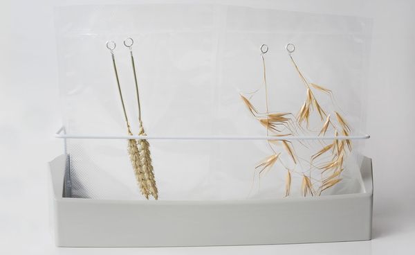 Articles by Clara Le Fort | Wallpaper*