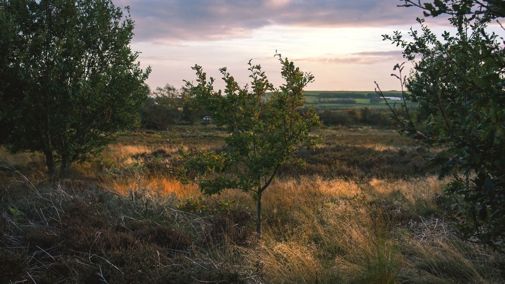 Landscapes with a difference: shoot amazing shallow scenics | Digital ...