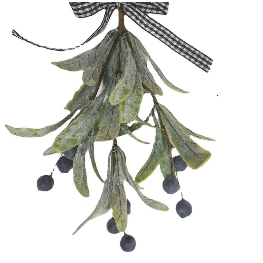 How to Grow Mistletoe — An Experts Guide | Livingetc