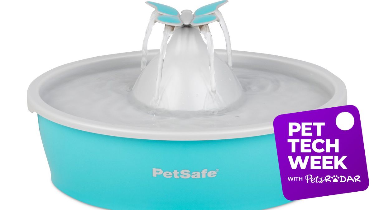 The best pet water fountains | PetsRadar