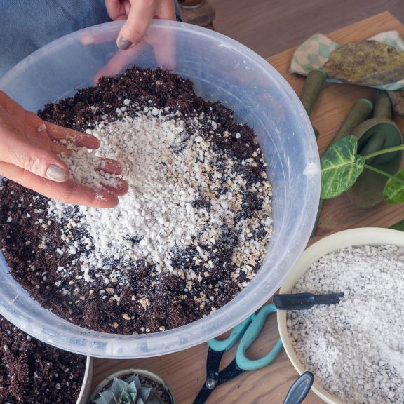 Potting Soil Or Gas? | Gardening Know How