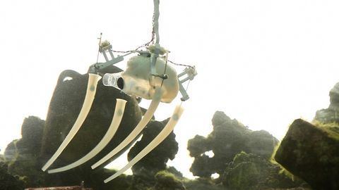 Photos: Amazing Tech Inspired by the Octopus | Live Science