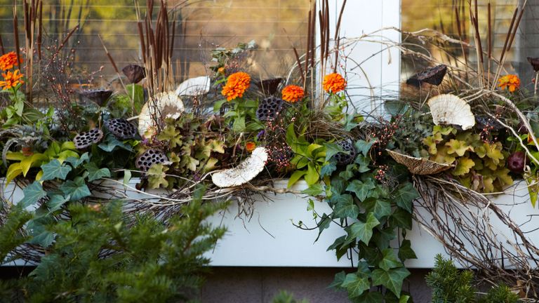 Fall window box ideas: 10 stylish looks for autumn | Gardeningetc