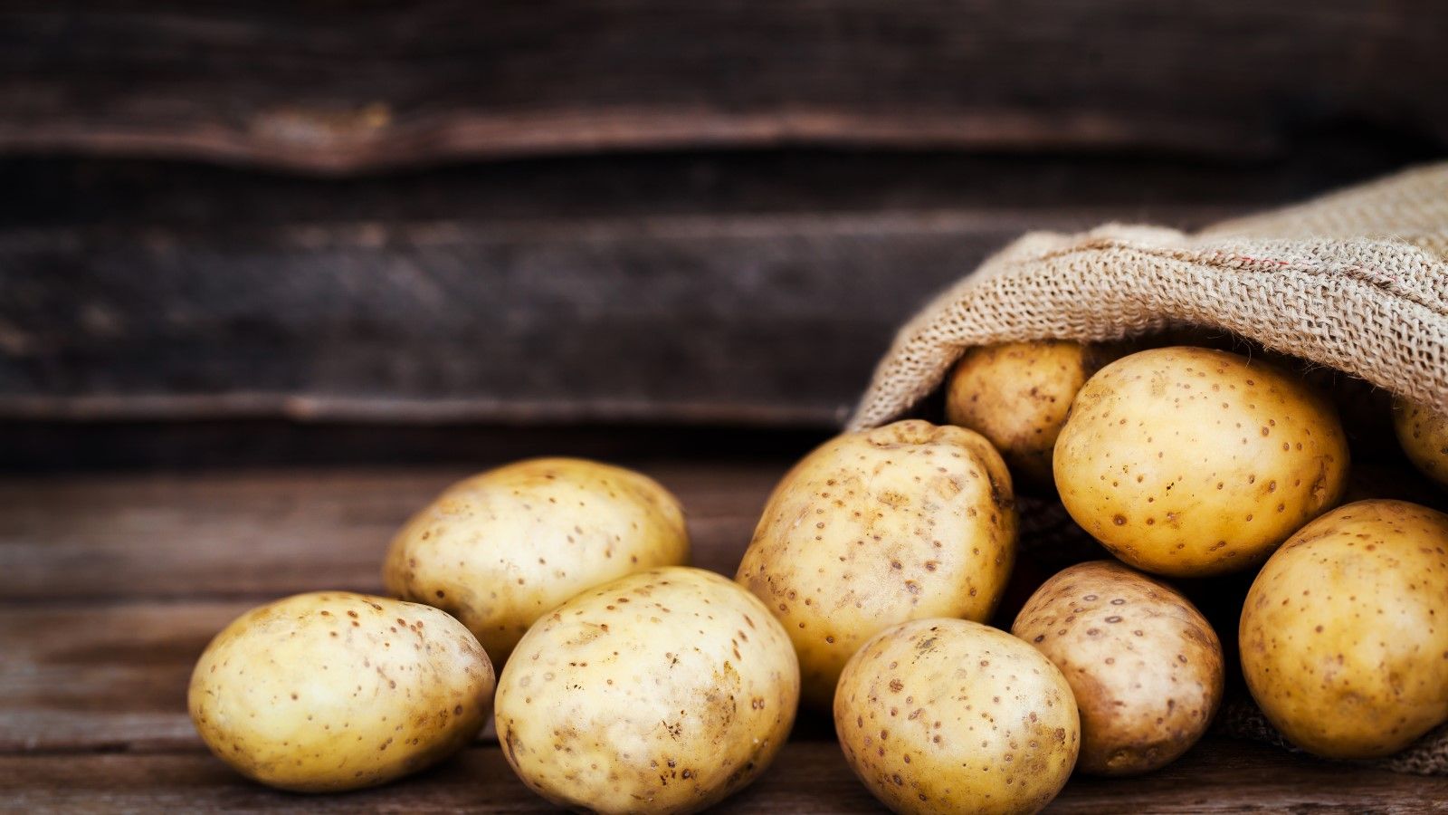 How to identify and treat potato blight: expert tips | Homes and Gardens