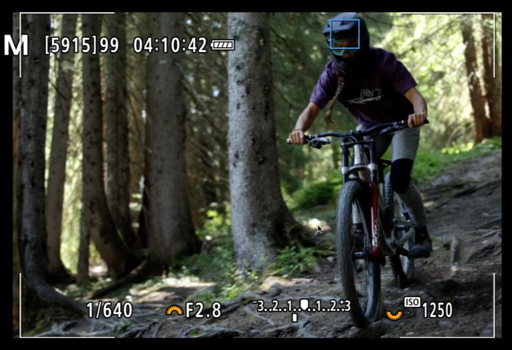 Panasonic Lumix S5 II vs Canon EOS R6 II | Digital Camera World