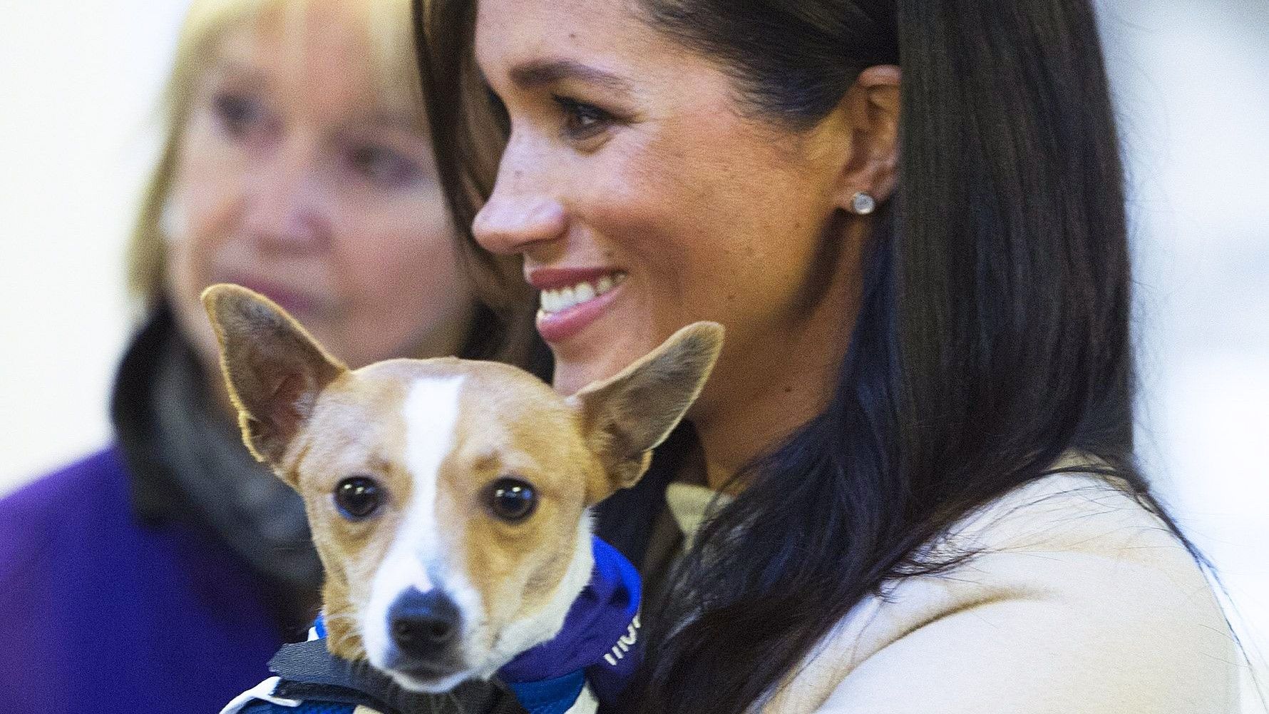 Meghan Markle Quietly Sponsors Mayhew Dog Kennel In Archie's Name ...