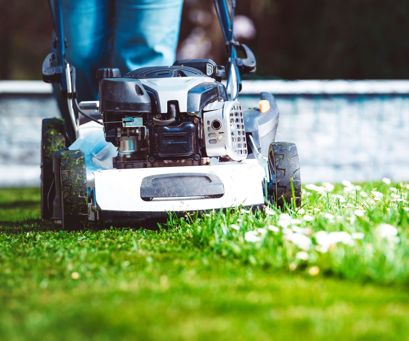 Gas mower vs cordless mower: experts pick the very best | Homes and Gardens