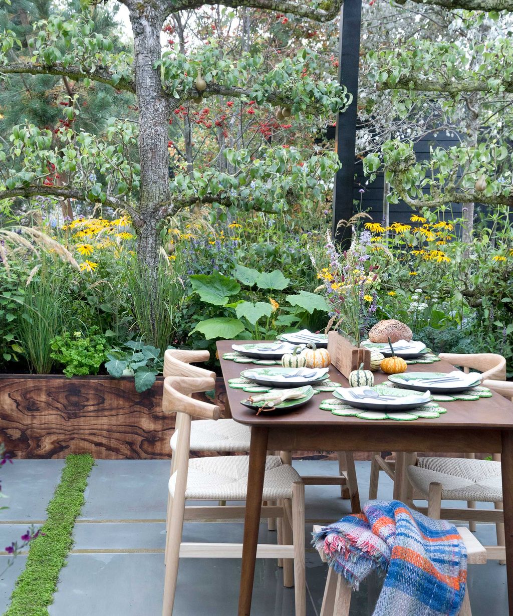 How to grow pleached trees for privacy and screening | Homes and Gardens