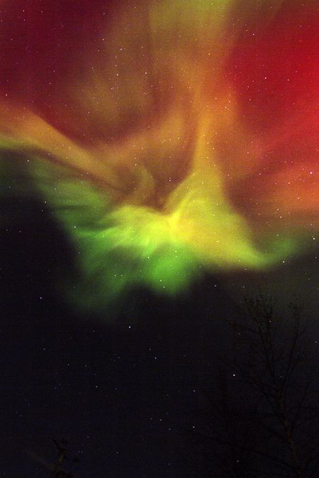 Articles by Kate Goldbaum, Staff Writer | Live Science