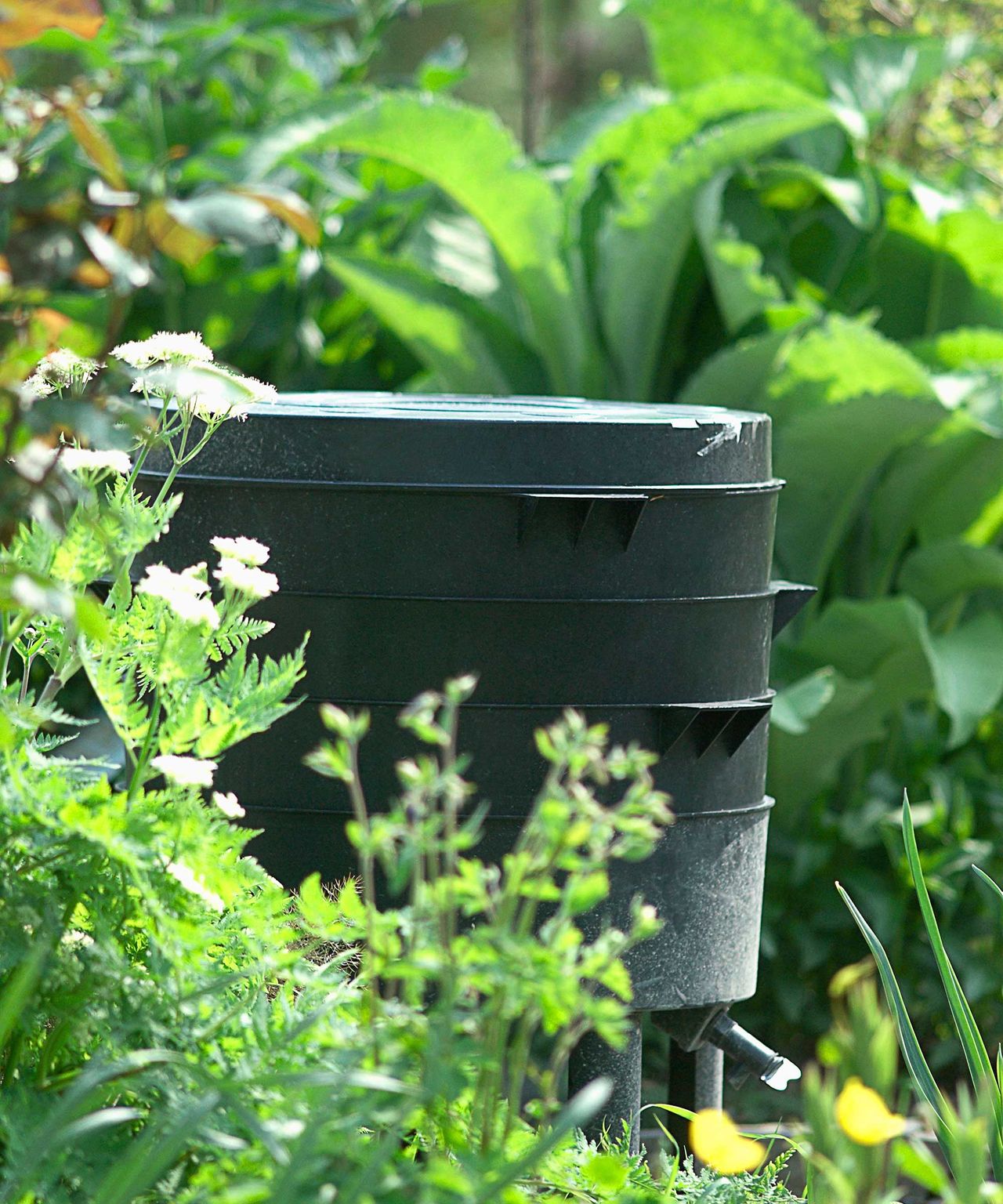 What not to put in a wormery: 6 foods you should avoid | Homes and Gardens
