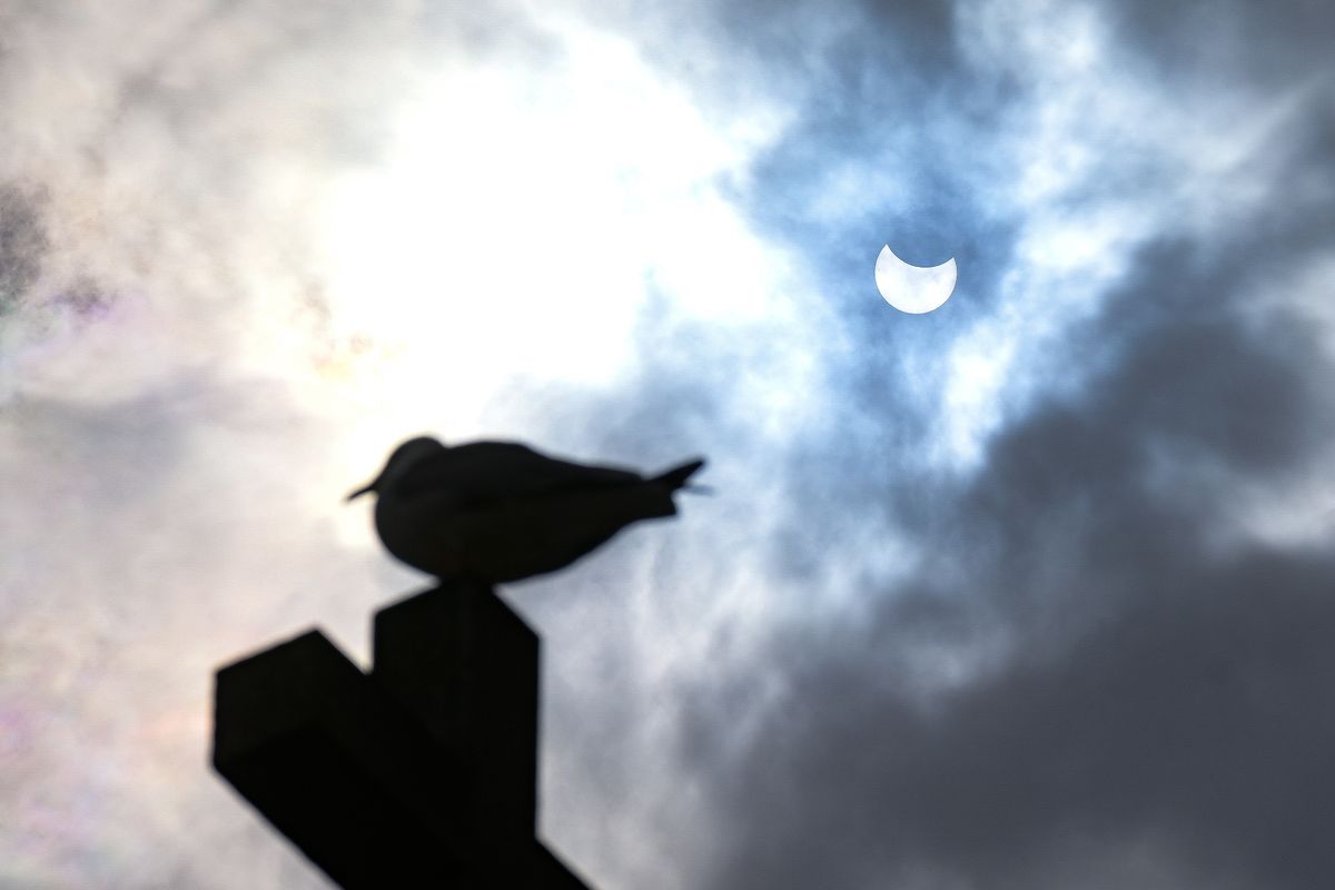 Partial solar eclipse delights skywatchers around the world (photos ...