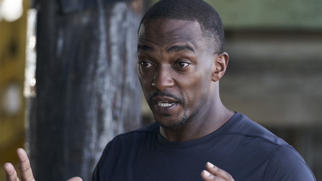 Anthony Mackie Swabbed A Shark's Anus In A Clip For A New TV Special ...
