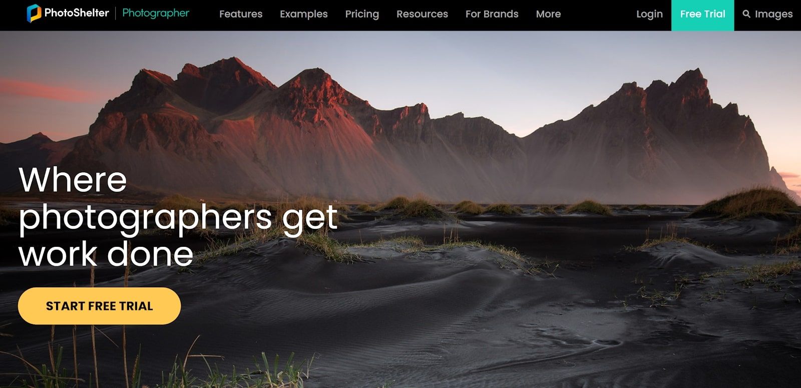 Photoshelter review | Creative Bloq