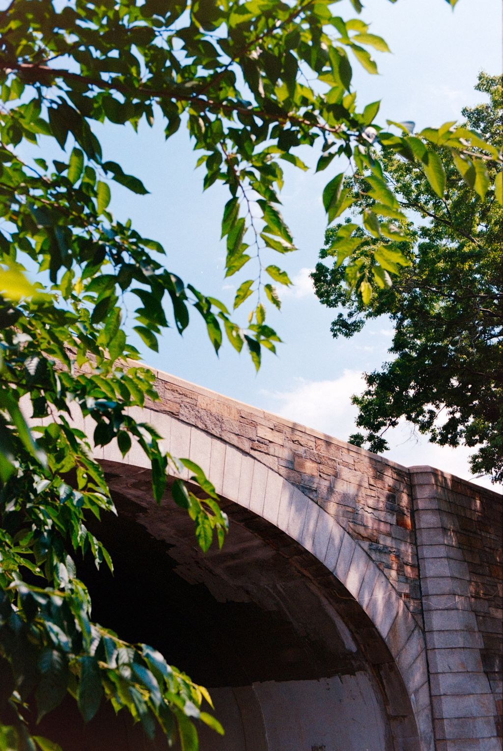 Valoi Easy35 film scanner review: reinventing camera scanning | Digital Camera World