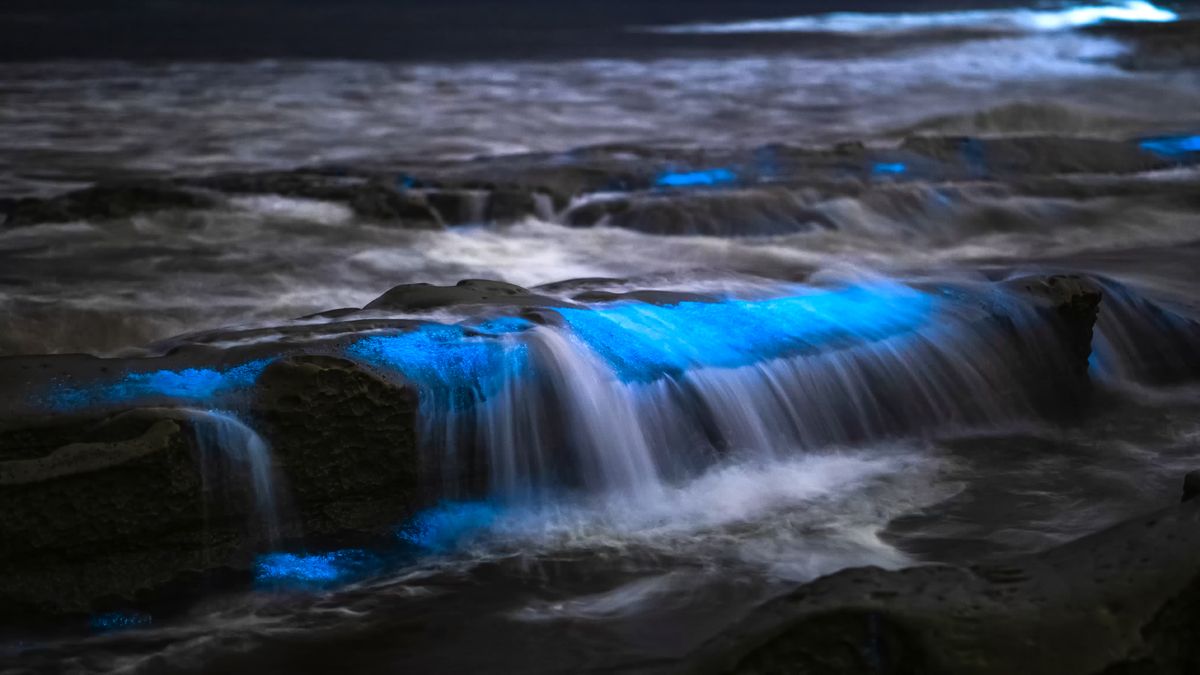 Watch bioluminescent algal blooms trigger electric-blue waves off San Diego coast in stunning ...