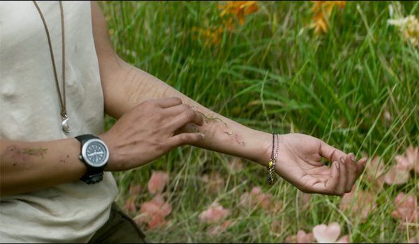 10 Big Differences Between The Annihilation Book And Movie | Cinemablend