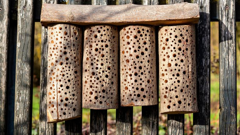 32 inspiring fence ideas - from bohemian bamboo to sturdy cement ...
