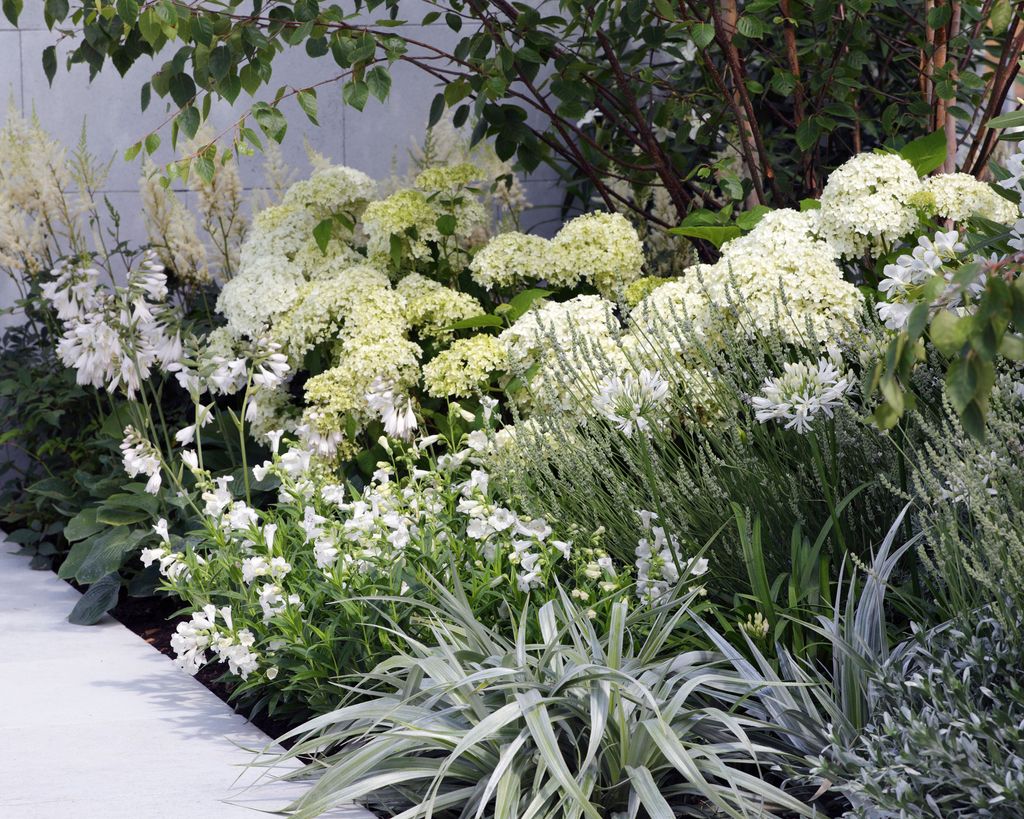 Landscaping with hydrangeas: 12 ways to include these blooms | Homes ...