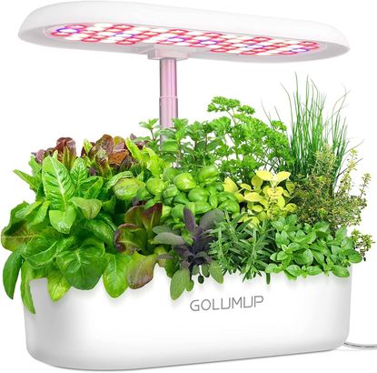 The LG tiiun indoor garden is perfect for year-round growth | Ideal Home