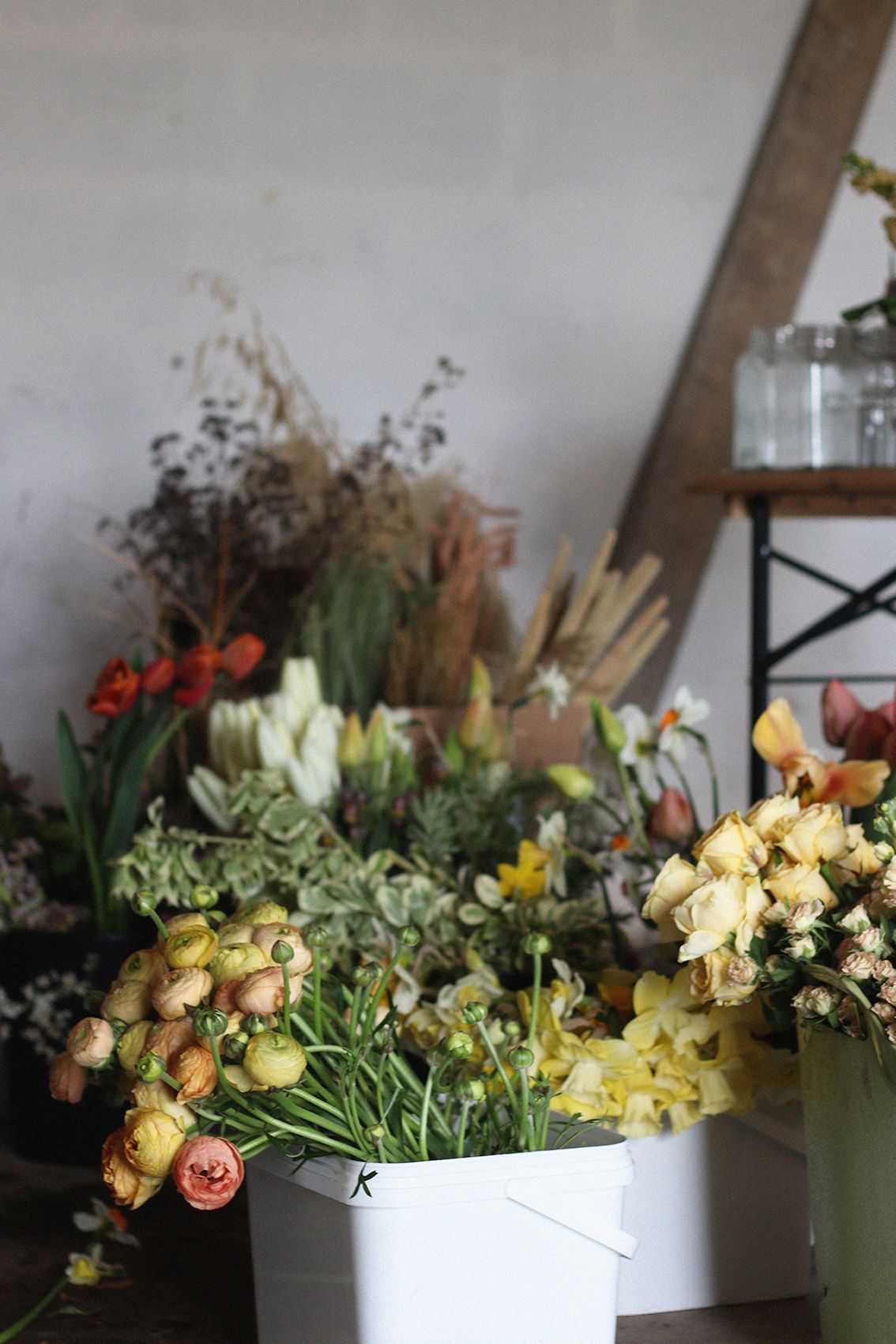 How to grow ranunculus indoors - 5 tips for perfect blooms | Livingetc