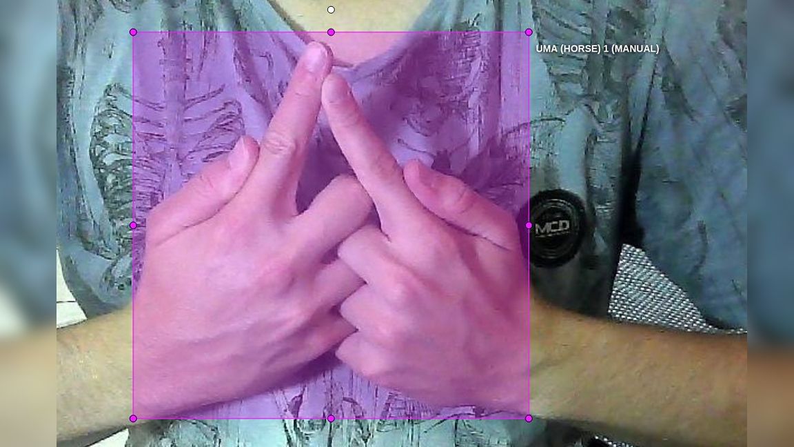 'Believe it' You can use a Raspberry Pi to detect Naruto hand seals with the power of AI | Tom's ...