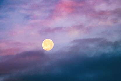 The best full moon memes on the internet | My Imperfect Life