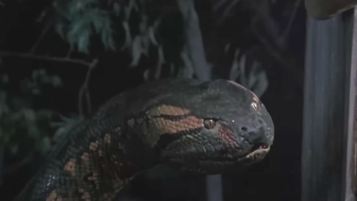 32 Scary Animal Movies That Aren't About Dinosaurs Or Sharks | Cinemablend