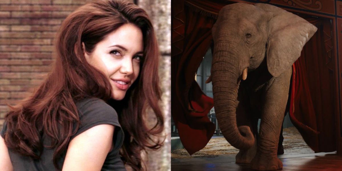 The One And Only Ivan Voice Cast: Who's Voicing Each Animal In The ...