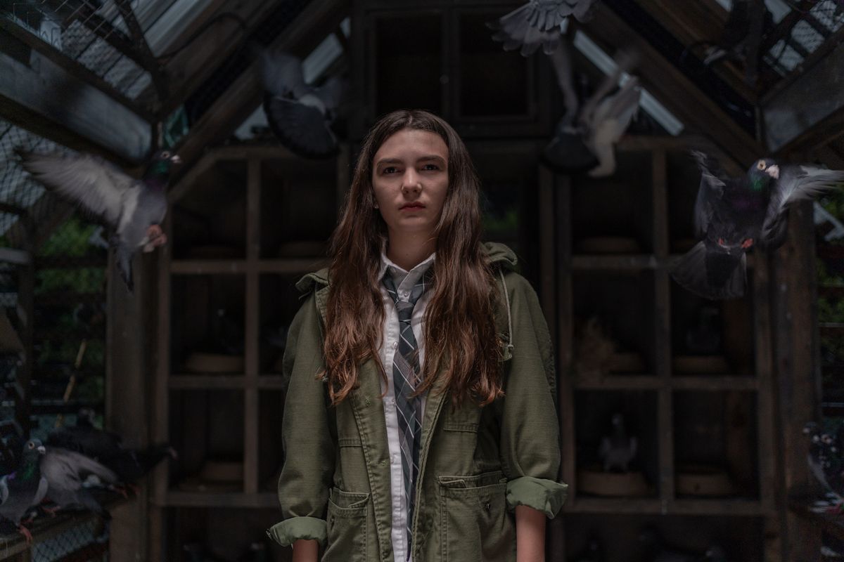 Little Wing: release date, cast, plot, trailer, first looks | What to Watch