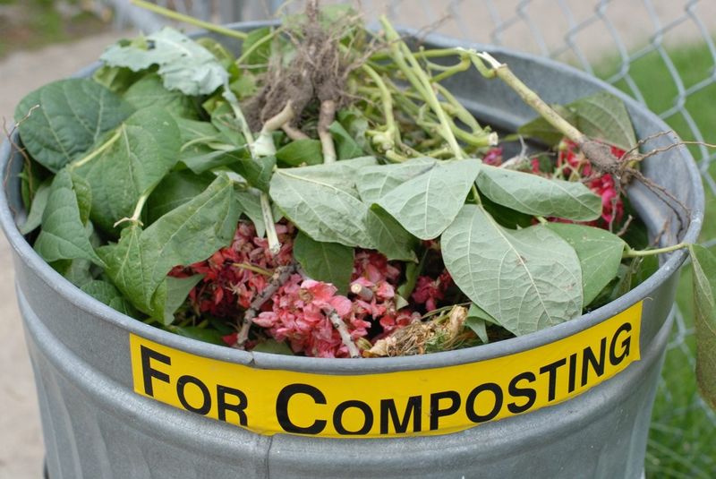 Tips & Information about Composting Basics | Gardening Know How