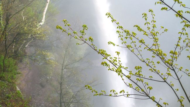 I tried AllTrails’ new Custom Routes tool — and it's a game-changer for ...