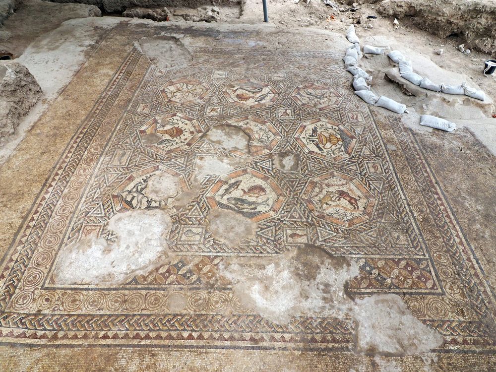 In Photos: 1,700-Year-Old Mosaic Once Adorned Israeli Courtyard | Live ...