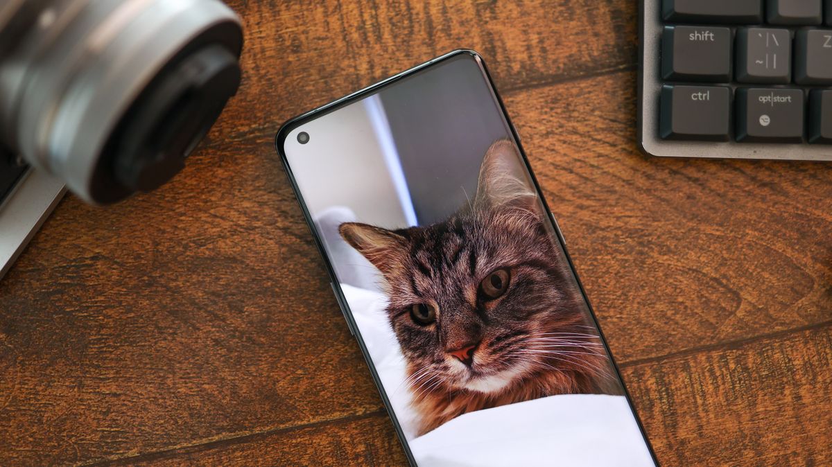 OnePlus 11 5G review: a return to form | Digital Camera World