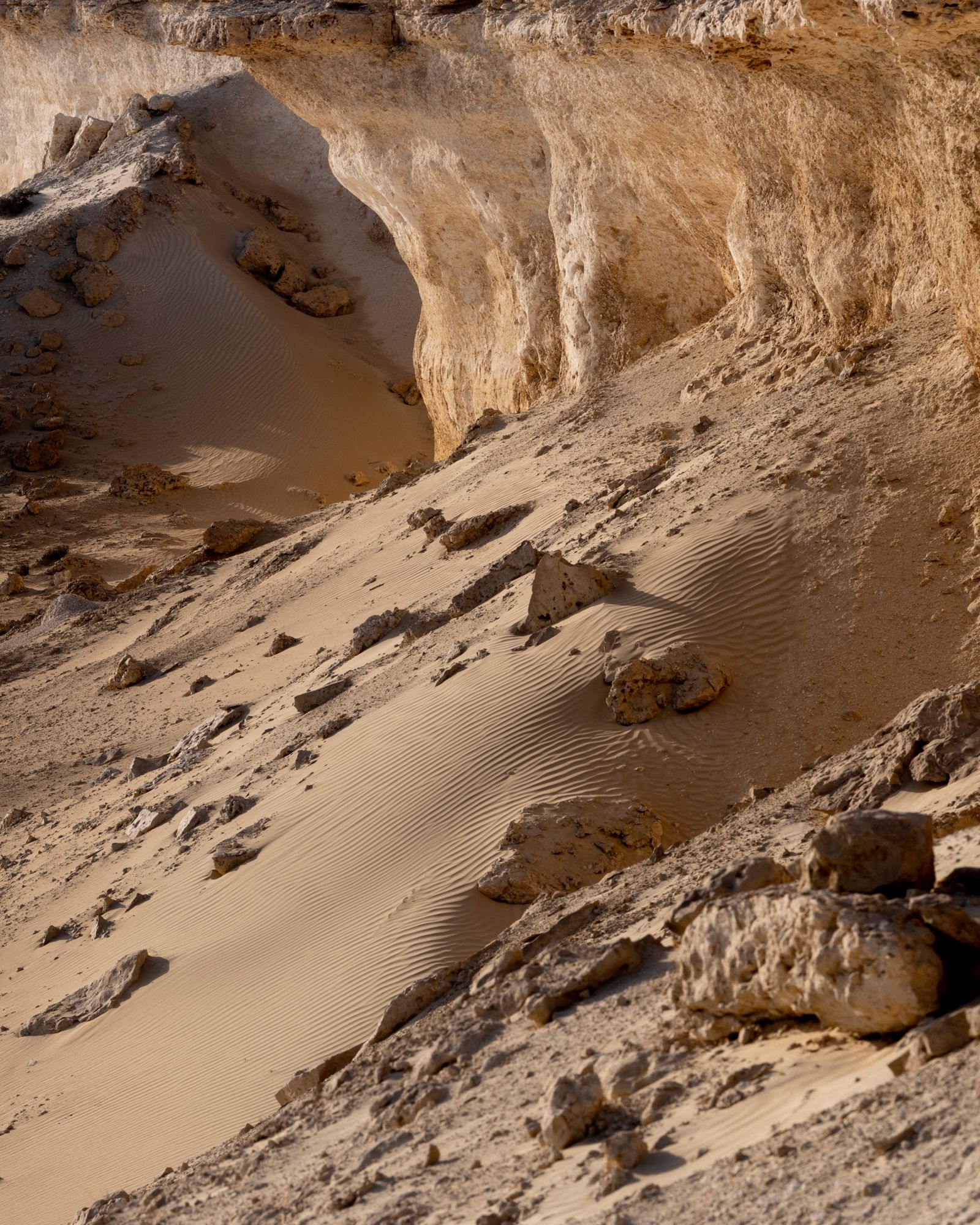 Desert bloom: Qatar's cultural transformation in pictures | Wallpaper*