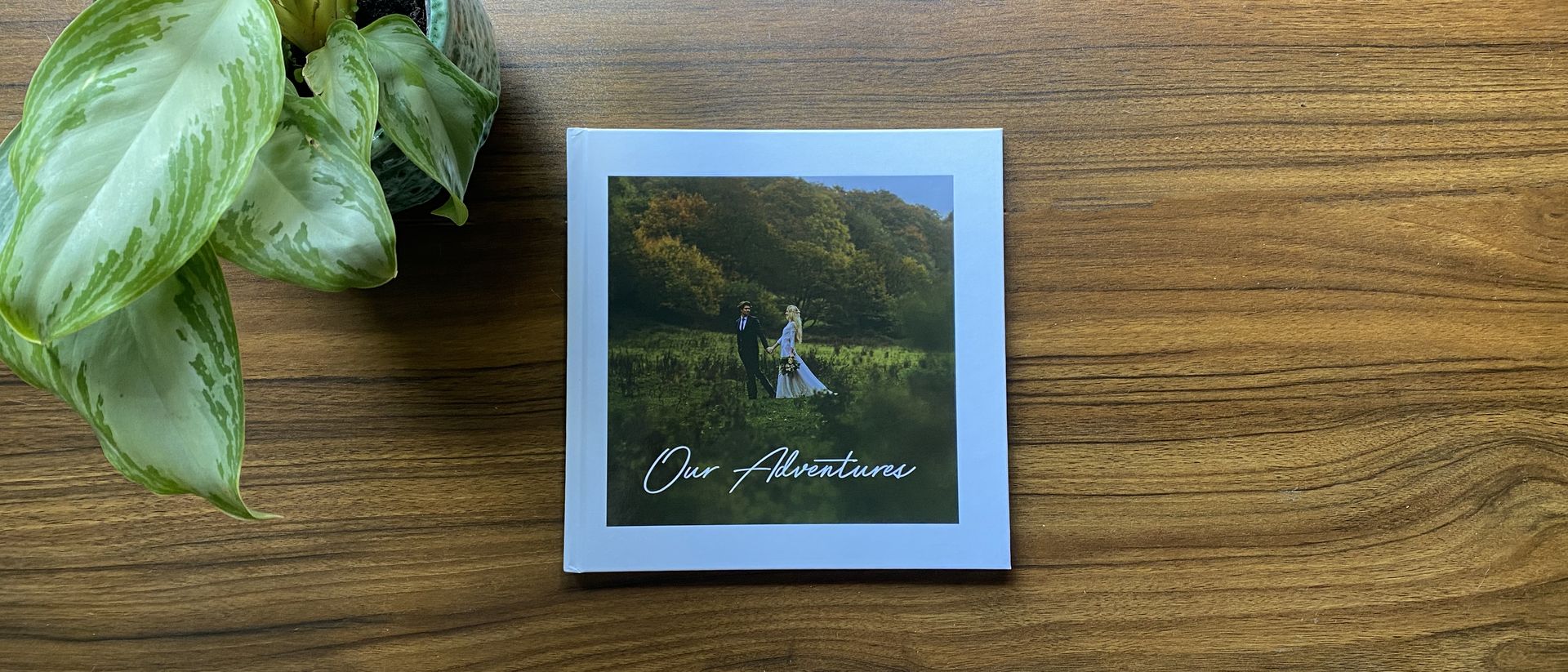 Snapfish photo book review: Plenty of artistic freedom for your ...