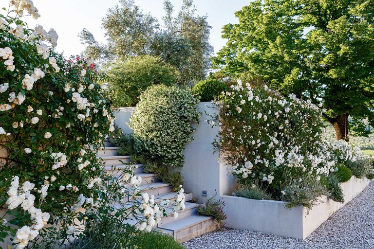 Cottage garden path ideas: 13 beautiful ways to make journeying through ...