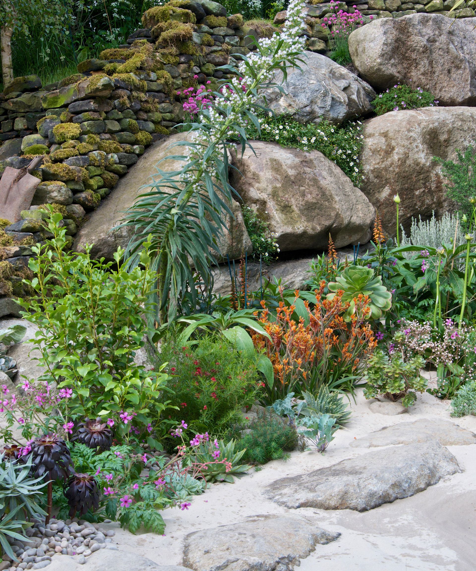 Landscaping with sand: 10 ways to add a coastal vibe | Gardeningetc