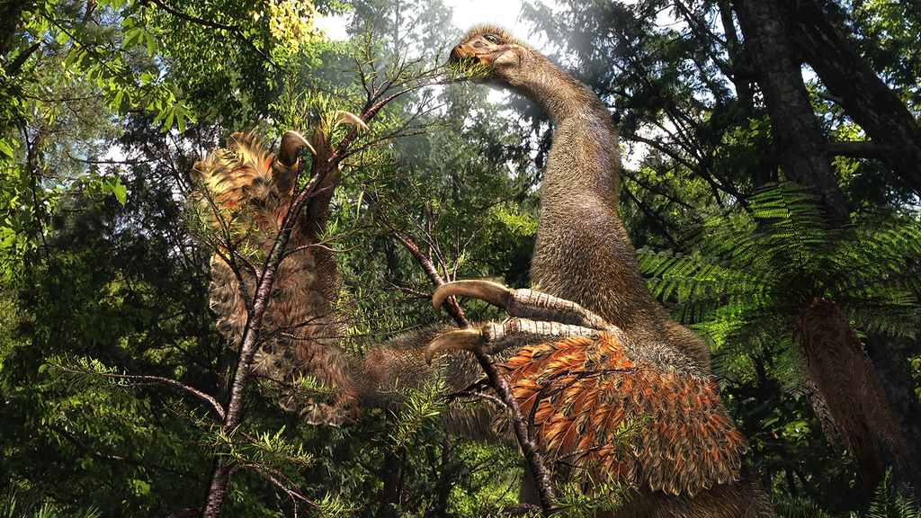 'Exquisitely preserved' ginormous claws from Mongolia reveal strange ...
