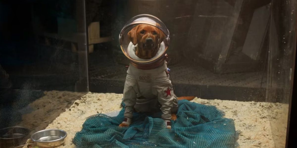 Who is Cosmo the Spacedog? All you need to know about 'Guardians of the ...