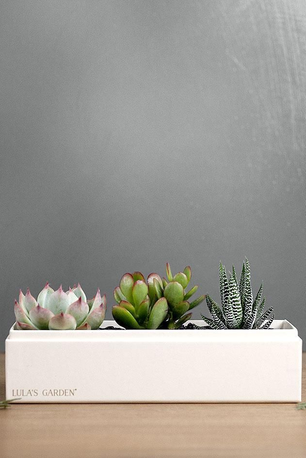 37 Best Stress Relief Gifts 2023 | Relaxation Gift Ideas | Marie Claire