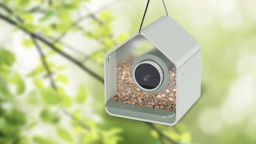 The best bird box camera | Digital Camera World