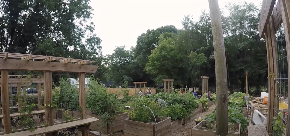 A free food forest has transformed this Atlanta neighborhood | The Week