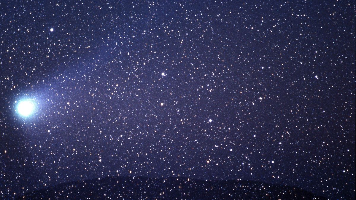 Halley's Comet begins its 38-year journey back toward Earth tonight | Space