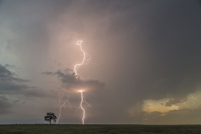 Why Lightning Deaths Are Up This Year | Live Science