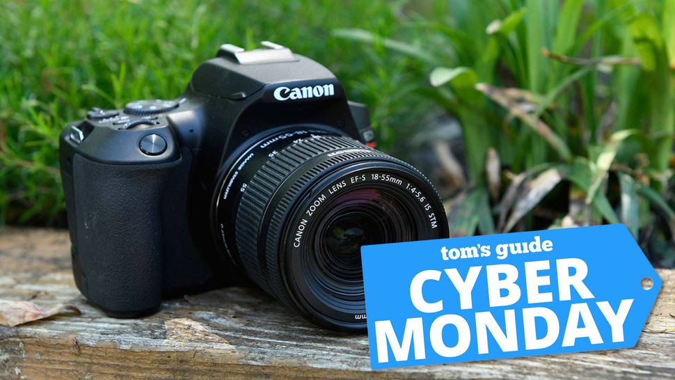 Best Cyber Monday camera deals 2020: Save on Canon, Nikon, Sony, GoPro ...