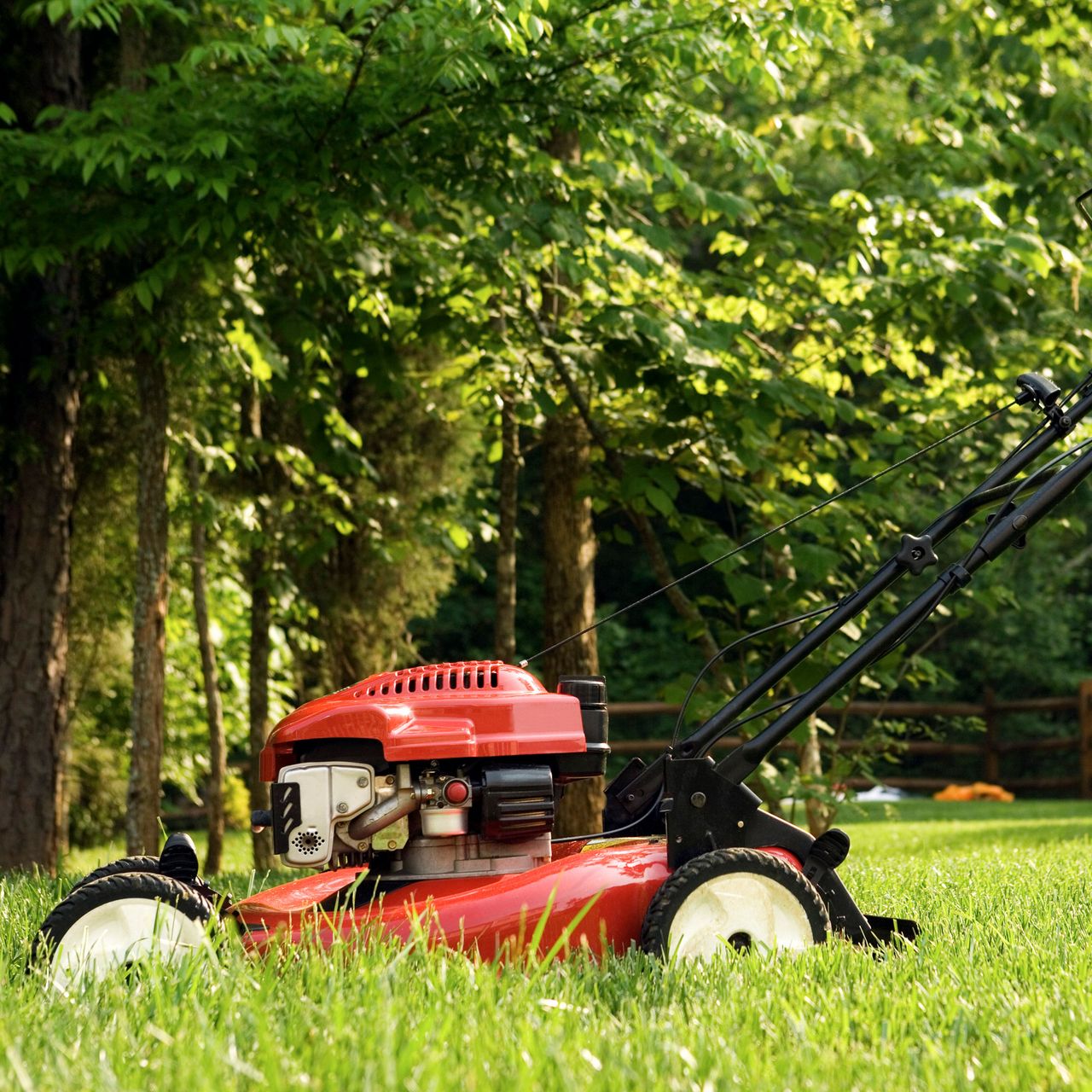 How to clean a lawn mower - expert tips to keep yours in working order ...
